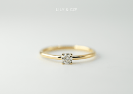 Eisley – Lily & Co.